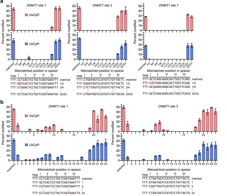 Cpf1 Update: Comparison to Cas9 and NgAgo